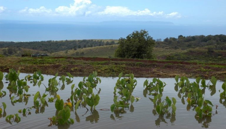 Department of Hawaiian Home Lands | Pu’u ‘Opae Farm and Irrigation Plan ...